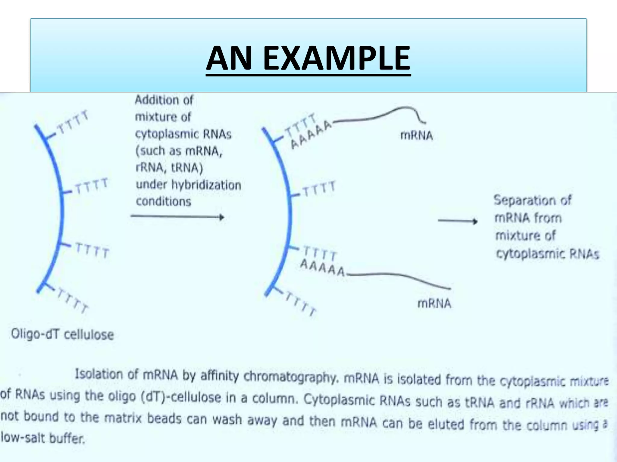 Ion exchange cromatography and affinity chromatography | PPTX