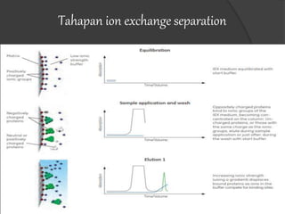 Ion exchange cromatography compile.pptx
