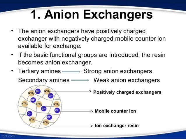 Ion exchange Chromatography
