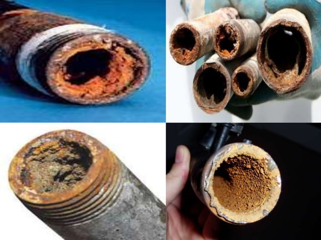 iexpress global ion health presentation | PDF