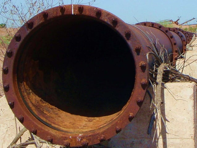 iexpress global ion health presentation | PDF