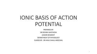 IONIC BASIS OF ACTION POTENTIAL IN EXCITABLE TISSUES | PPTX