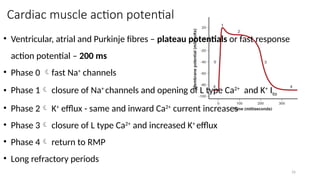IONIC BASIS OF ACTION POTENTIAL IN EXCITABLE TISSUES | PPTX