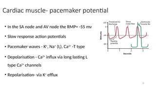 IONIC BASIS OF ACTION POTENTIAL IN EXCITABLE TISSUES | PPTX
