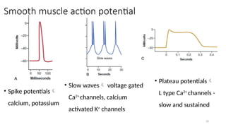 IONIC BASIS OF ACTION POTENTIAL IN EXCITABLE TISSUES | PPTX