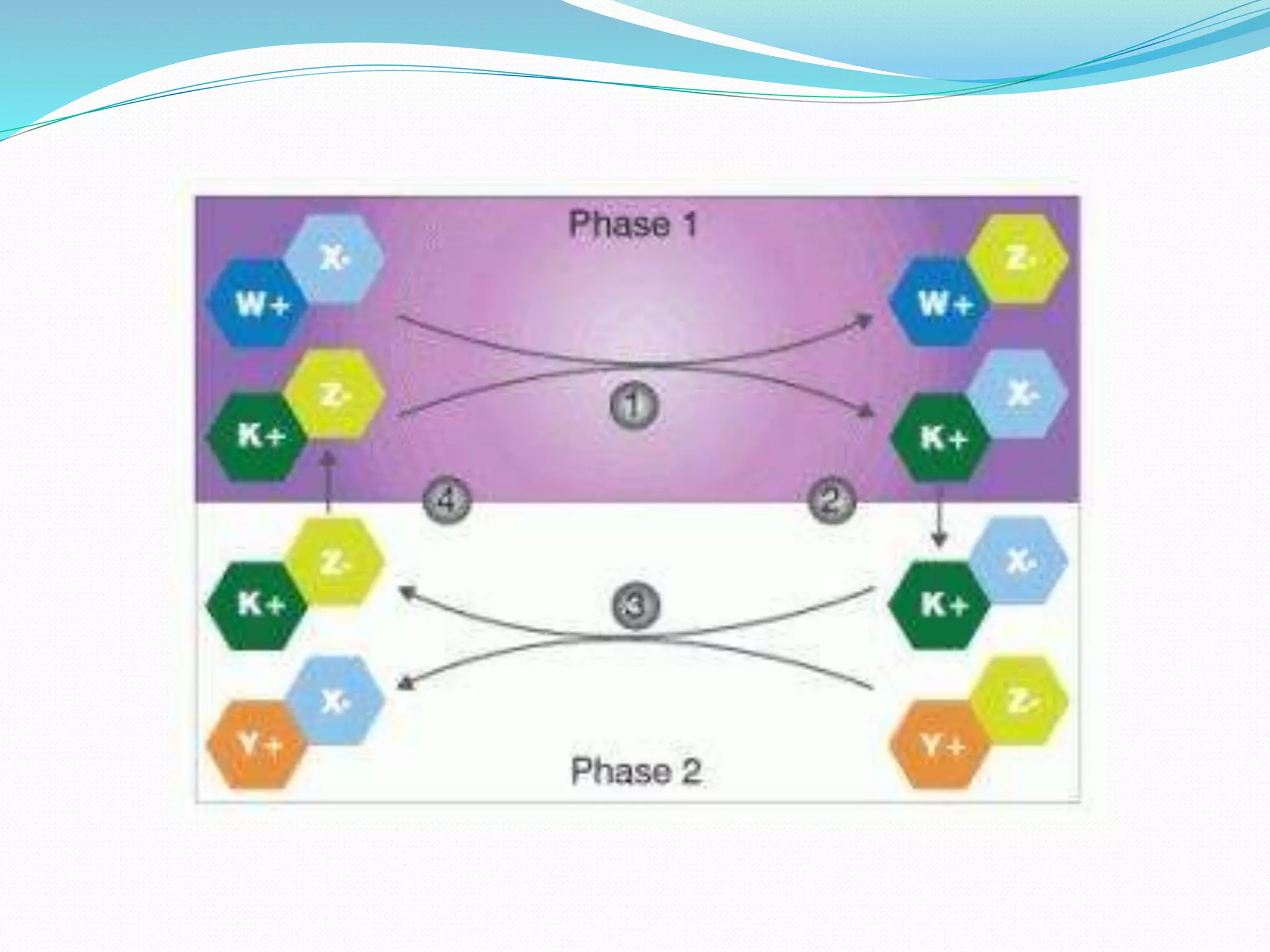 Phase Transfer Catalysis and Ionic liquids | PPT
