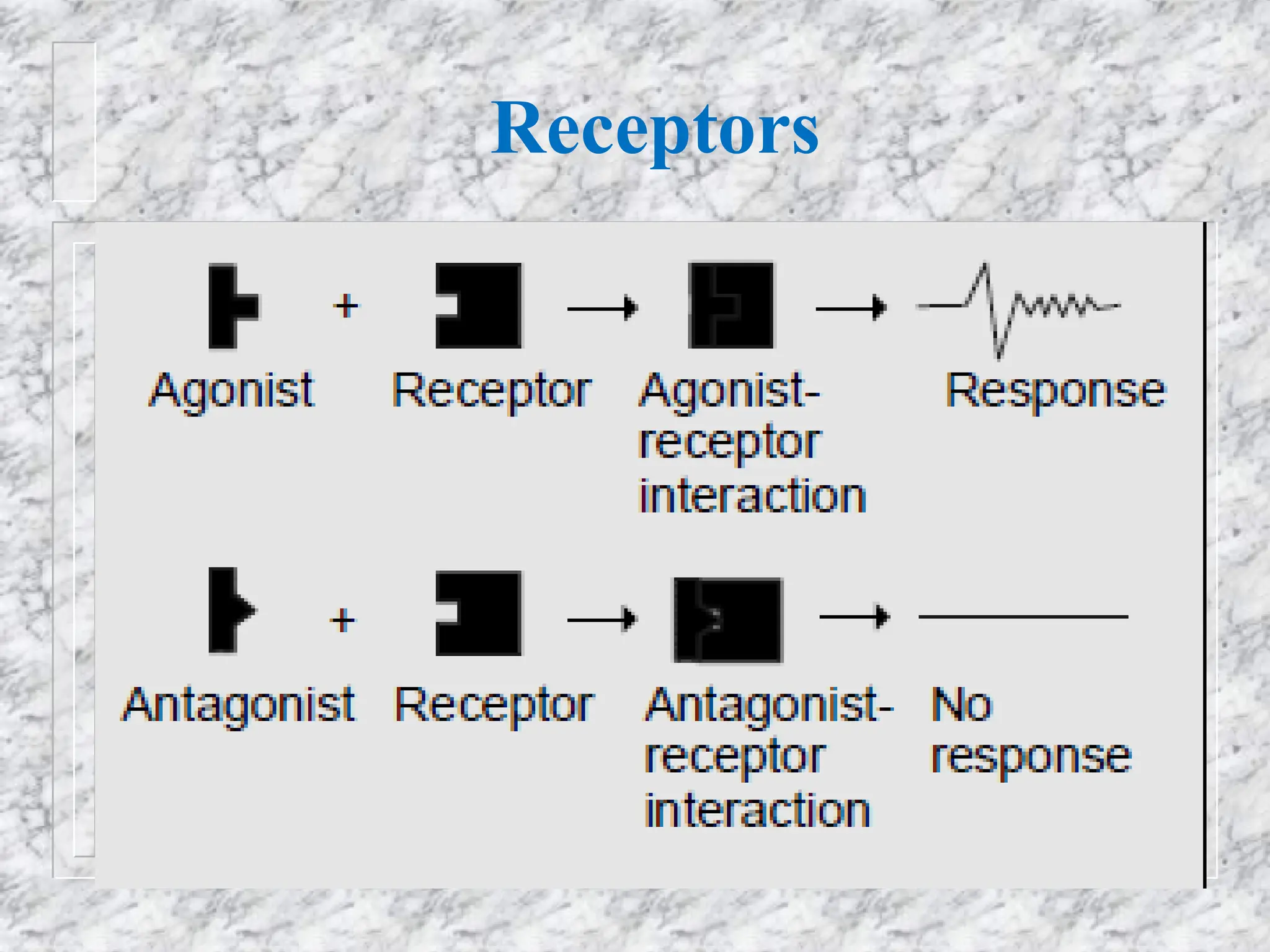ionic receptors in pharmacodynamics.pptx