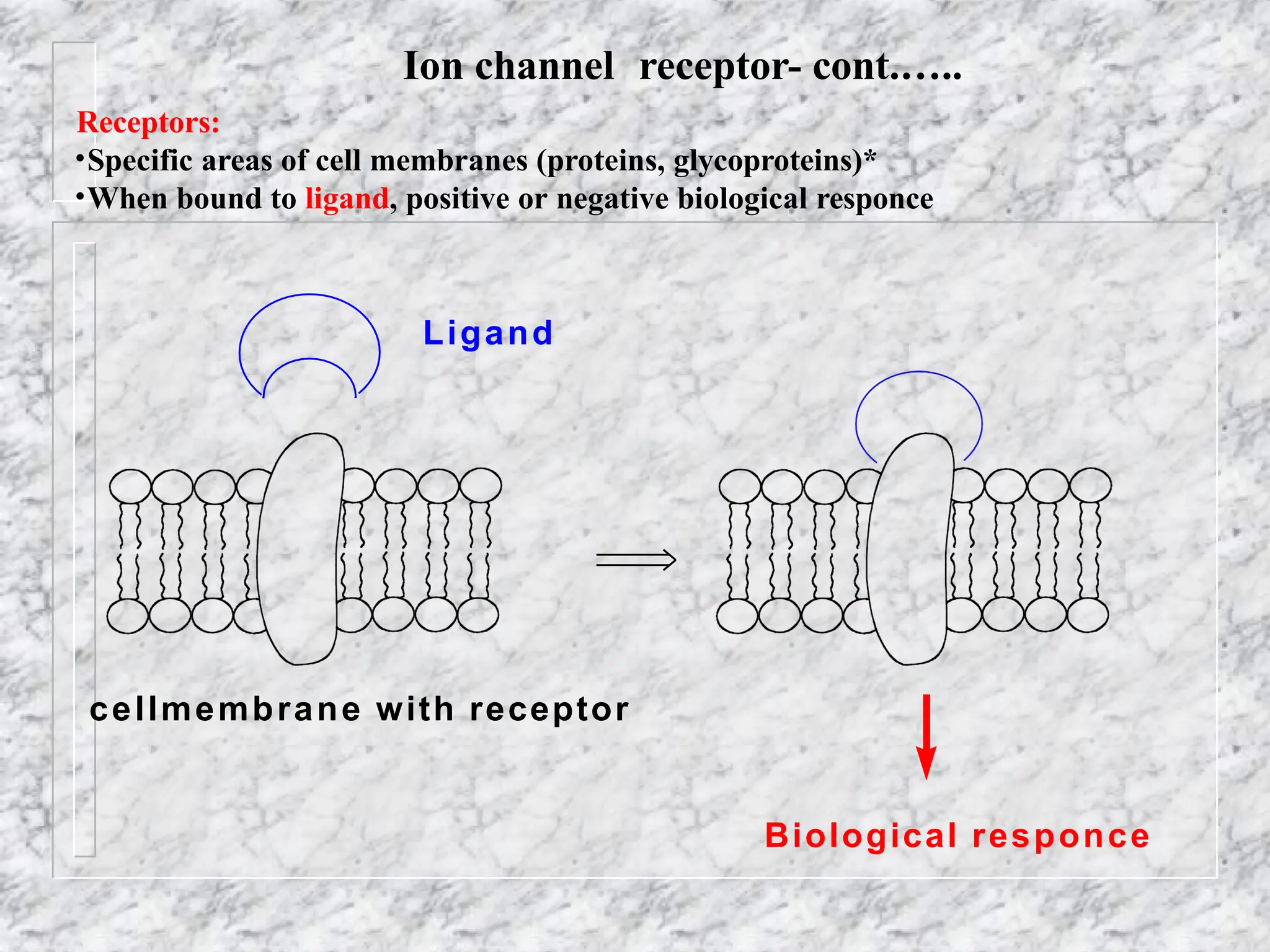 ionic receptors in pharmacodynamics.pptx