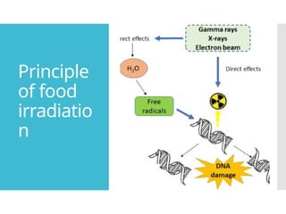 Ionizing_Irradiation_in_Food_Processing[1].pptx
