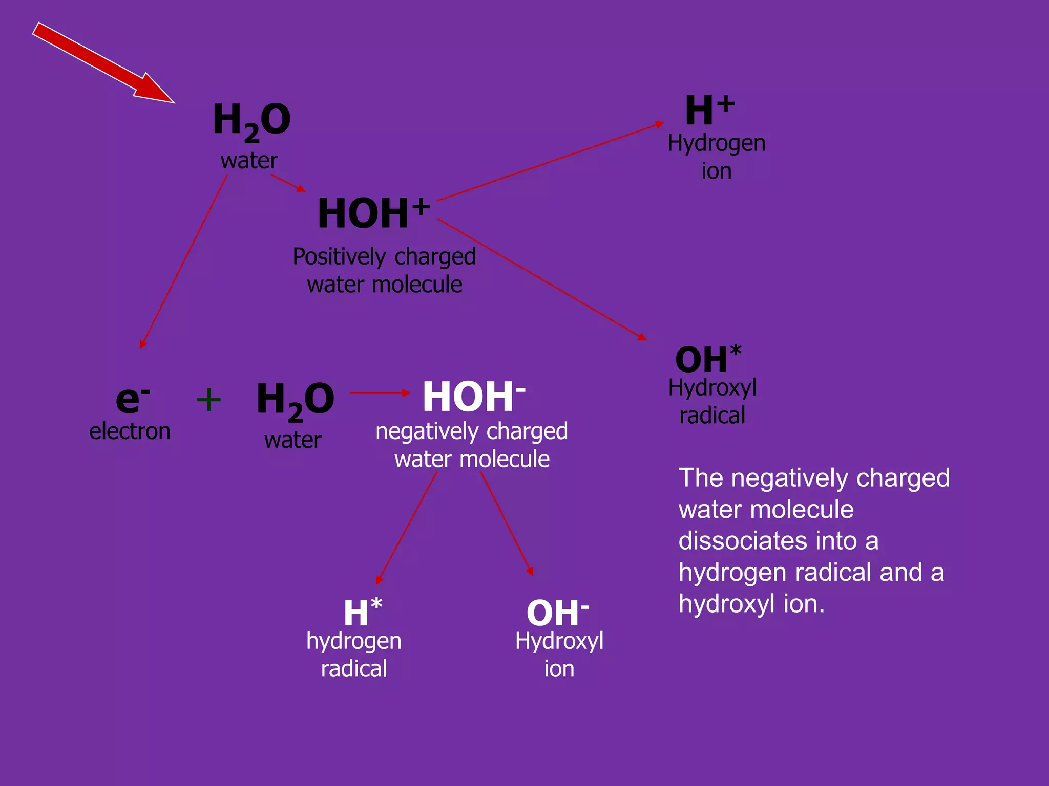 Ionizing radiation protection | PPT