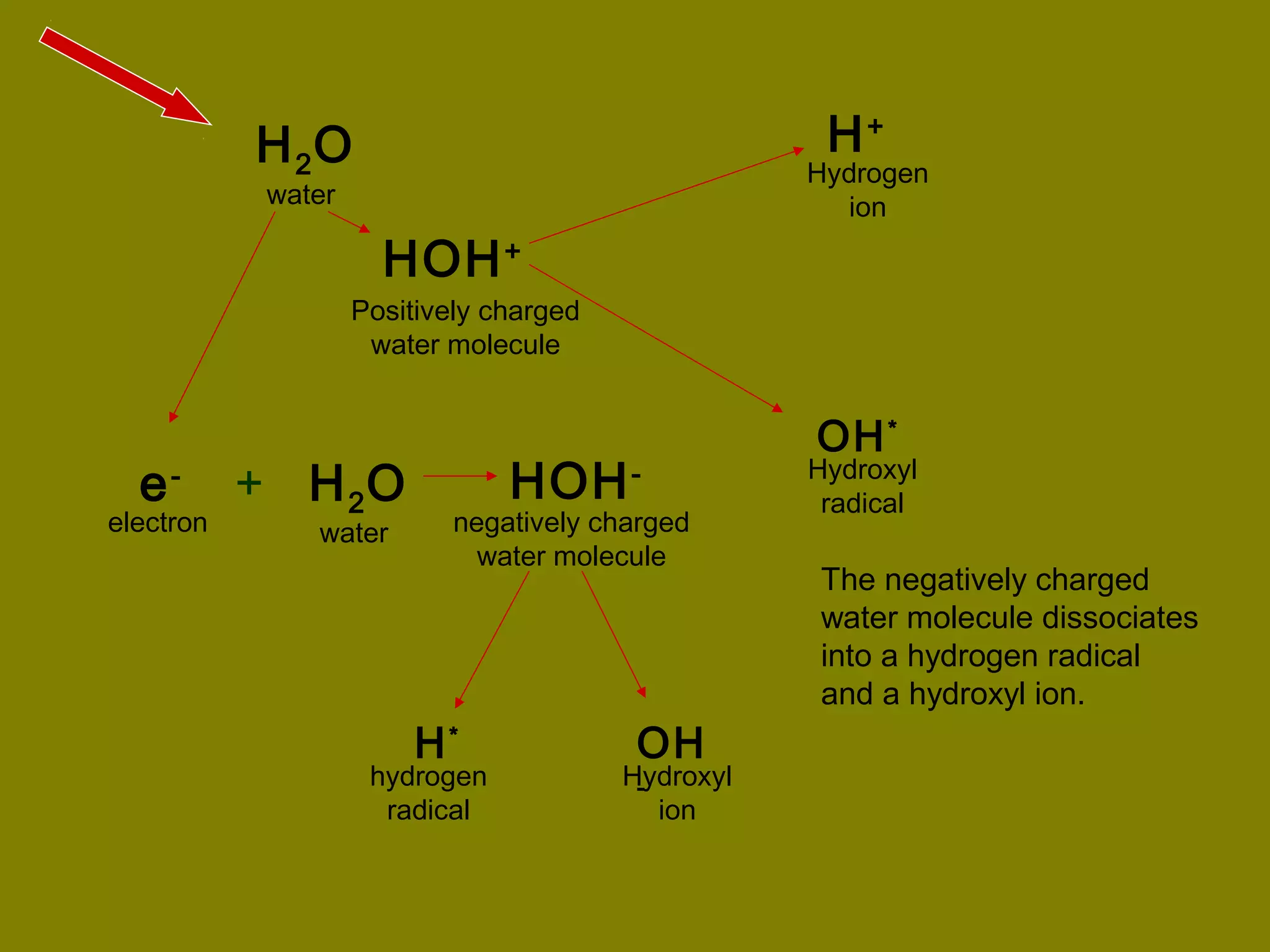 Ionizing radiation hazards and safety :must know | PPS