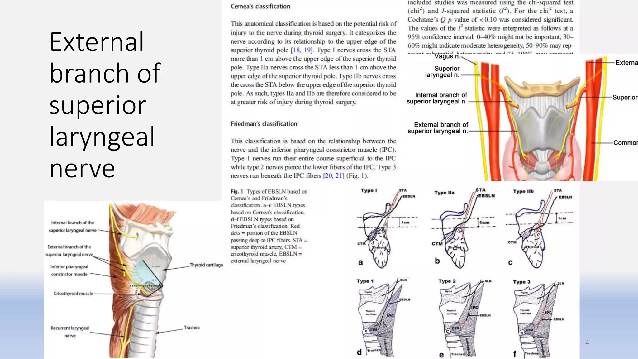 IONM recurrent laryngeal nerve monitoring v3.pptx