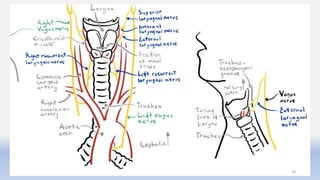 IONM recurrent laryngeal nerve monitoring v3.pptx