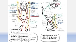 IONM recurrent laryngeal nerve monitoring v3.pptx