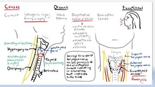 IONM recurrent laryngeal nerve monitoring v3.pptx