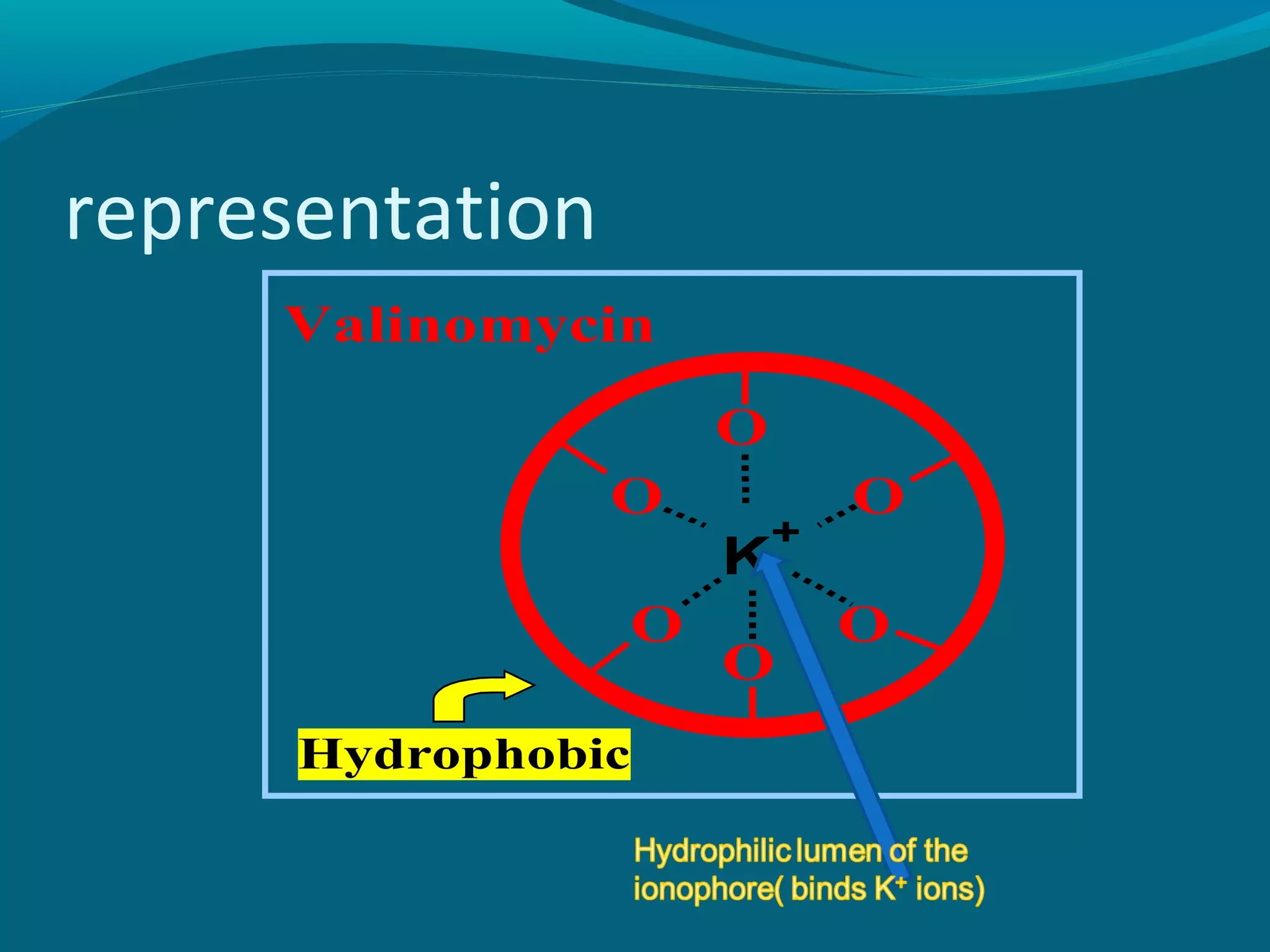 Ionophores | PPT