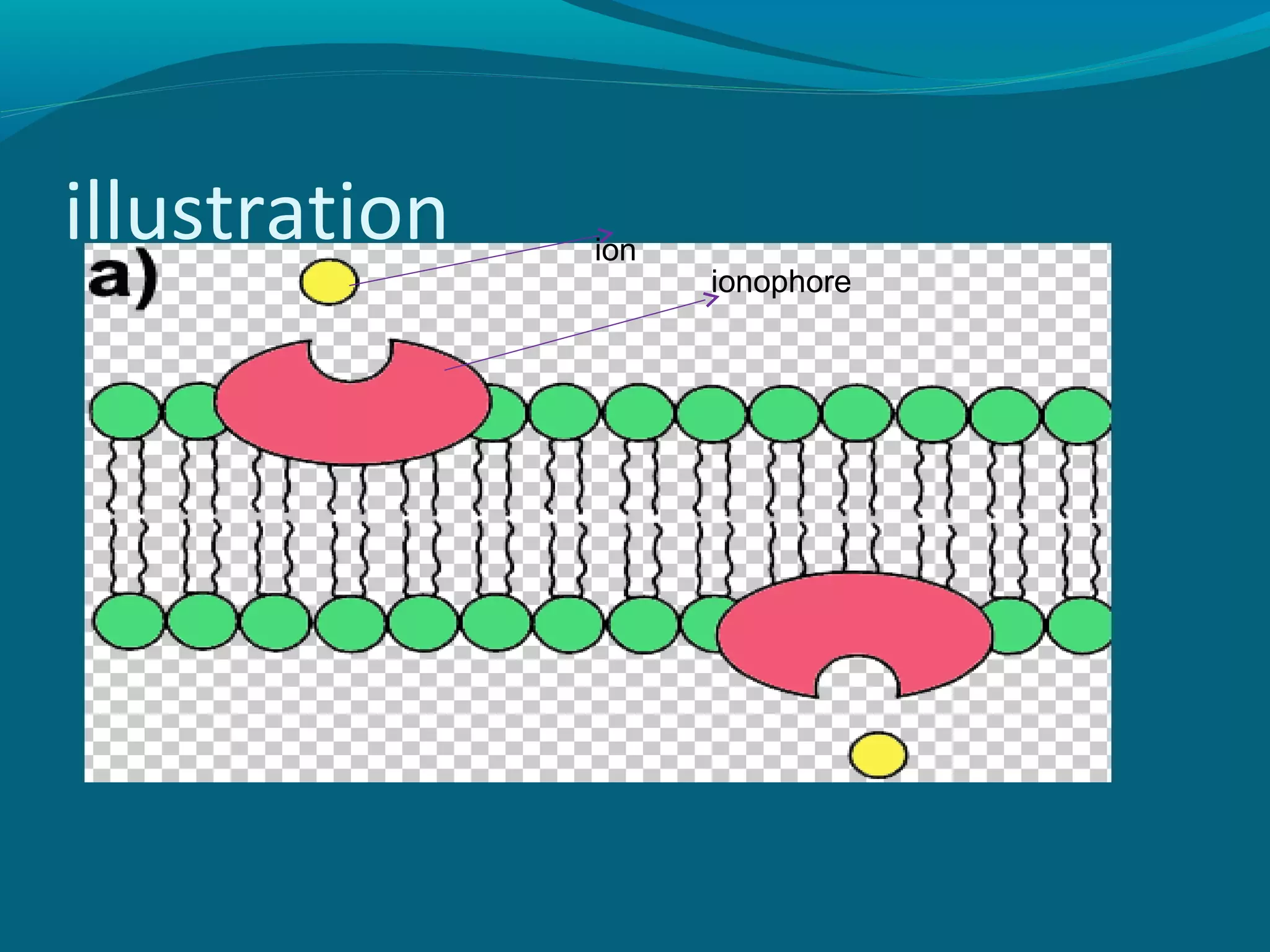 Ionophores | PPT