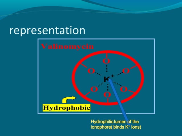 Ionophores | PPT | Chemistry | Science