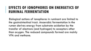 Ionophores in ruminant | PPT