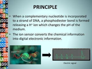 Ion torrent sequencing | PPTX