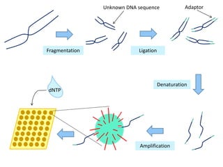 Ion torrent sequencing | PPTX