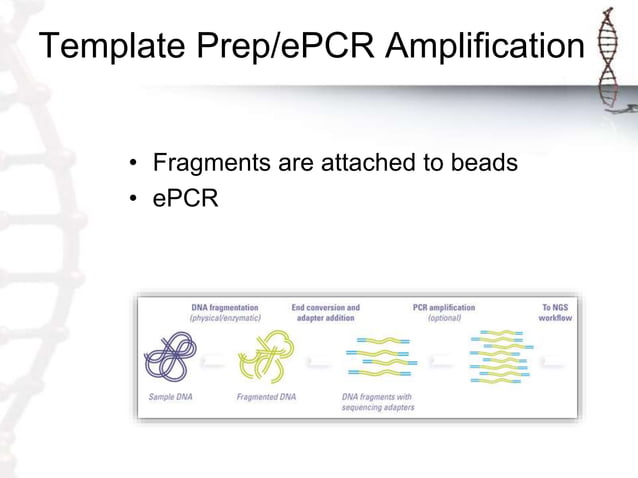 Ion Torrent Sequencing | PPTX | Chemistry | Science
