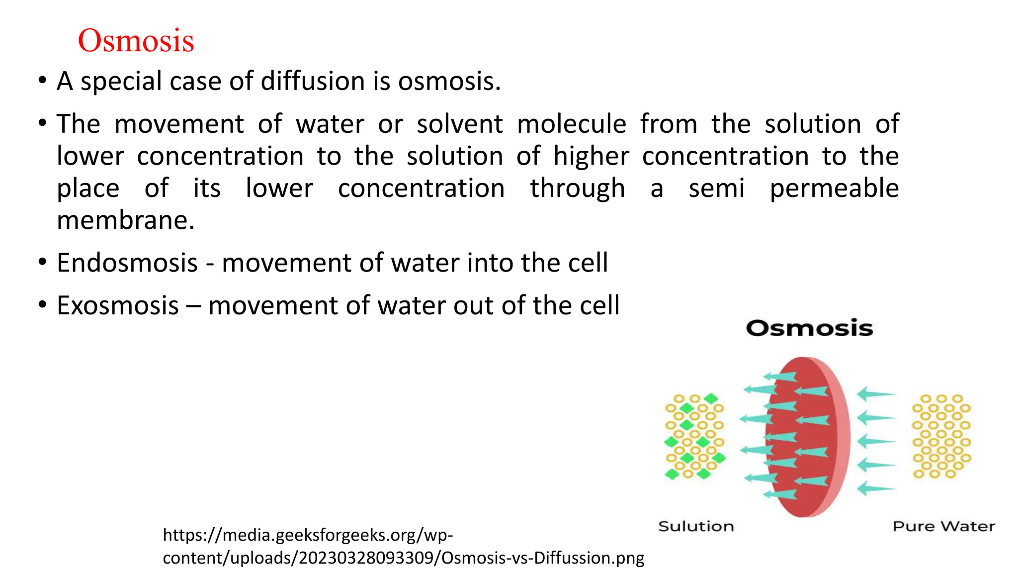 ION TRANSPORT-ppt from Manasagowda-1.pptx