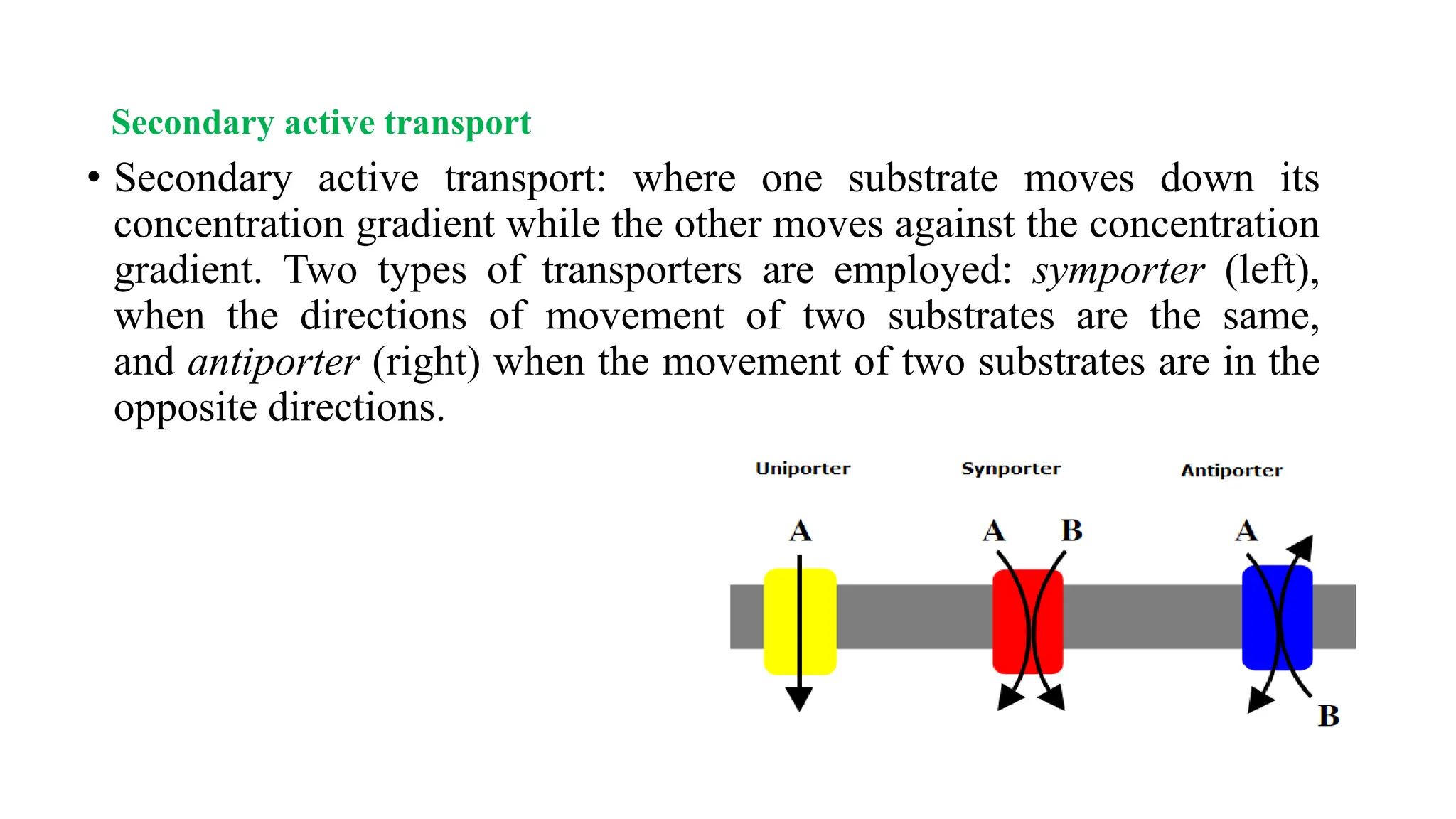 ION TRANSPORT-ppt from Manasagowda-1.pptx
