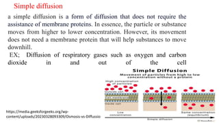 ION TRANSPORT-ppt from Manasagowda-1.pptx