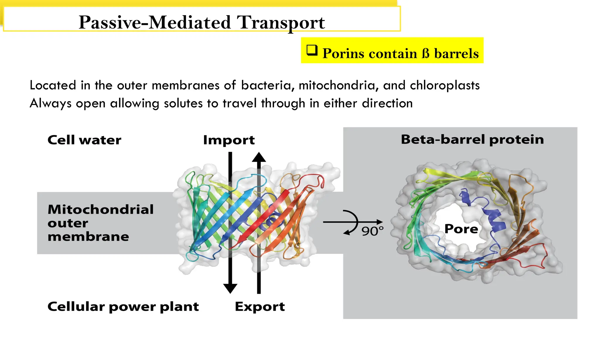 mechanism of ion transportation in living cells | PPTX
