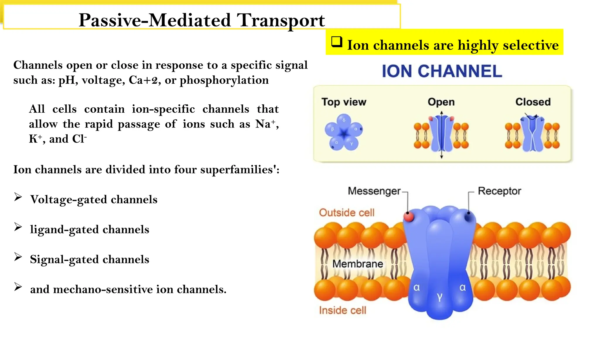 mechanism of ion transportation in living cells | PPTX