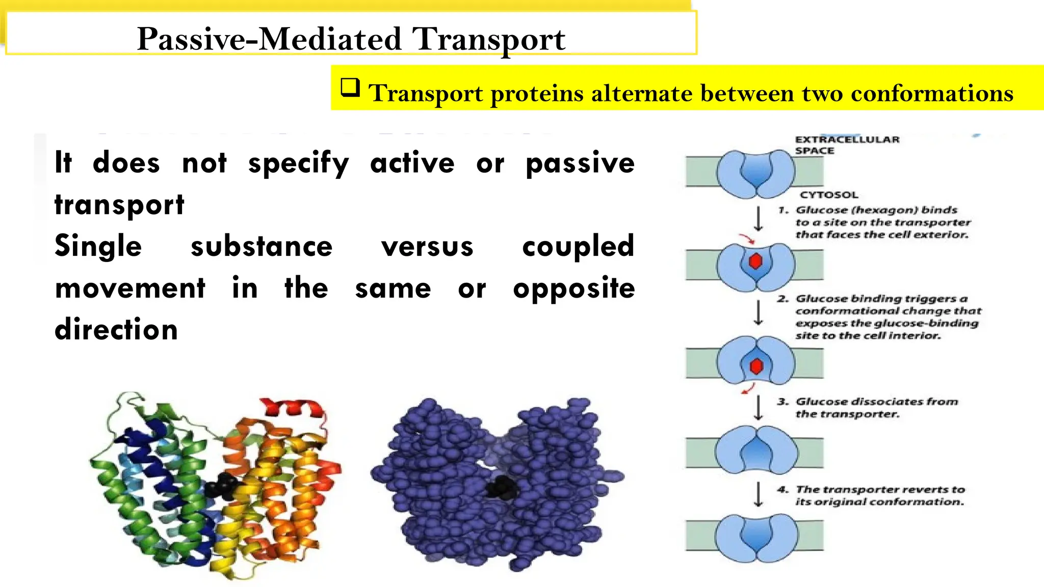 mechanism of ion transportation in living cells | PPTX