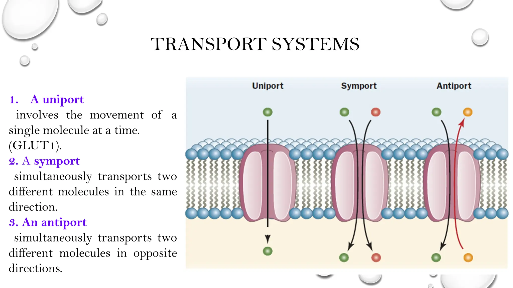 mechanism of ion transportation in living cells | PPTX