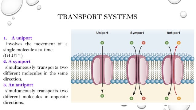 mechanism of ion transportation in living cells | PPT