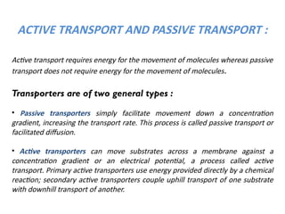 Ion Transport Through Cell Membrane.pptx