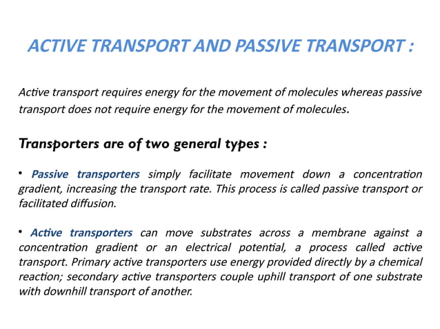 Ion Transport Through Cell Membrane.pptx