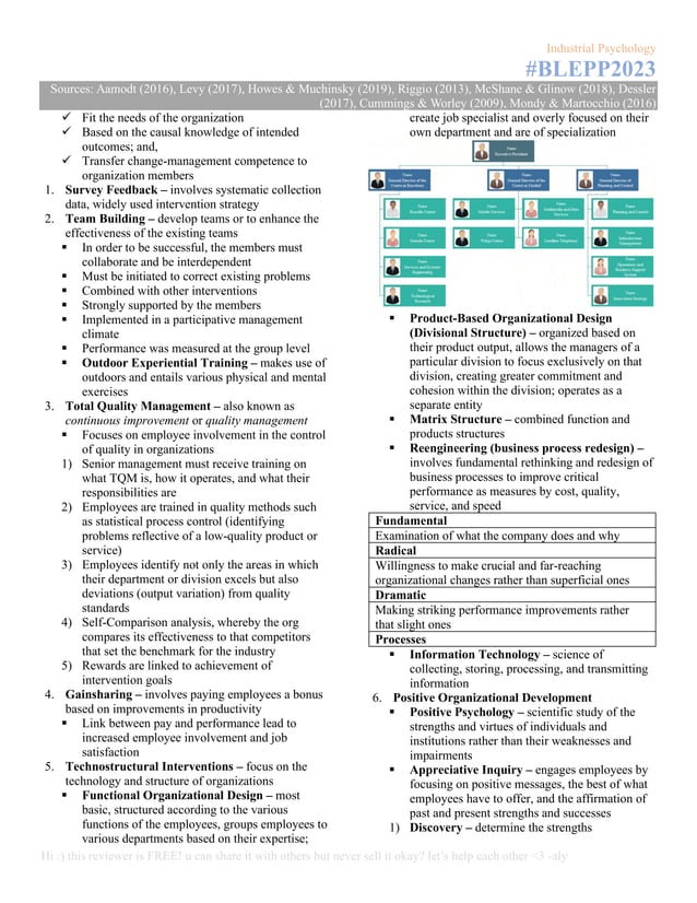 BLEPP Reviewer - Industrial and Organization Psychology | PDF