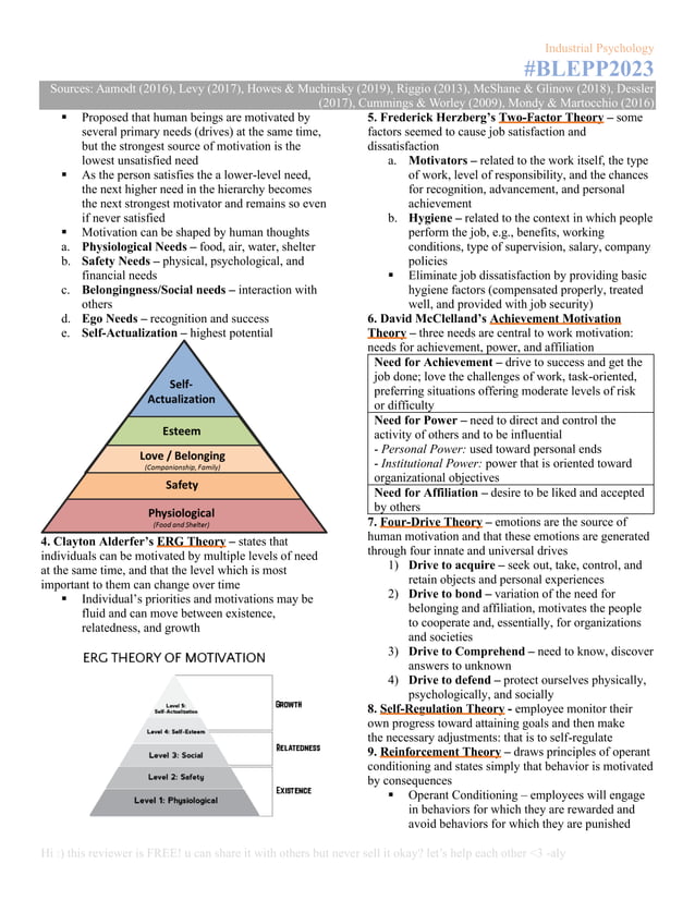 BLEPP Reviewer - Industrial and Organization Psychology | PDF