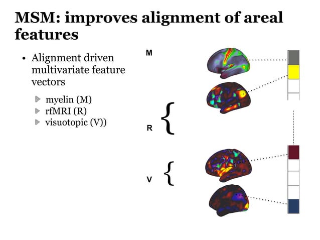 The Human Connectome Project multimodal cortical parcellation: new ...