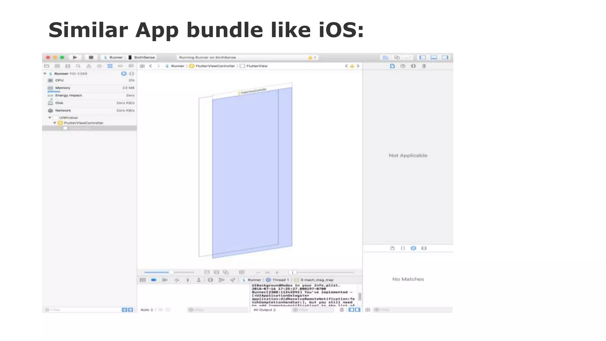 Ios application bundle by flutter | PPT