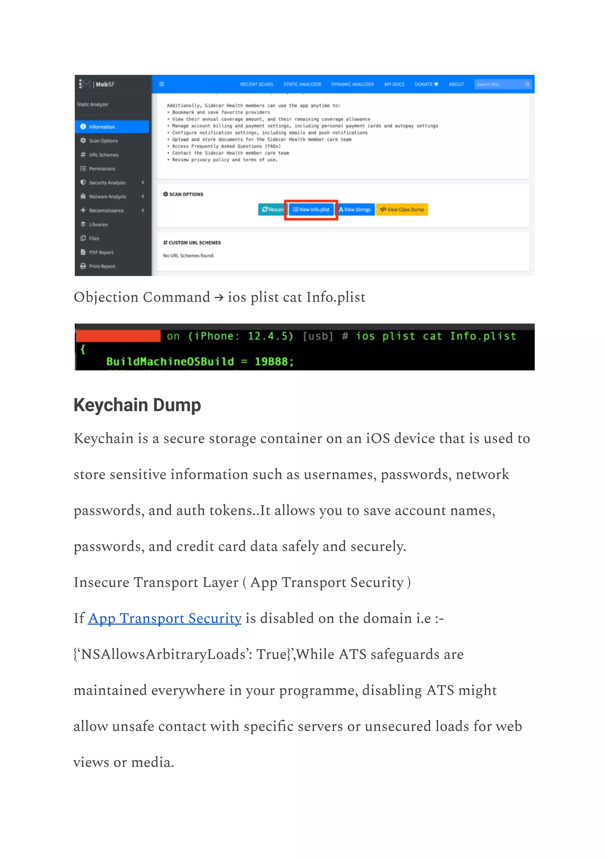 iOS Application Security And Static Analysis.pdf