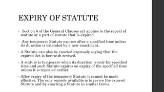 Interpretation of Statutes | PDF
