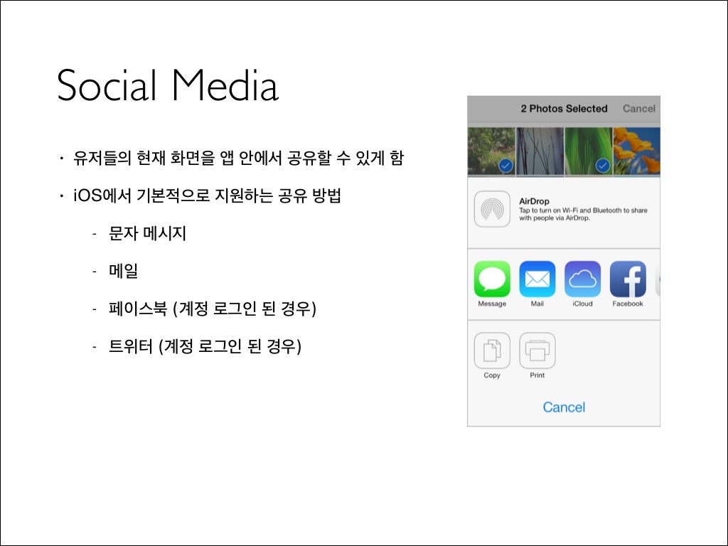 iOS human interface guidelines(HIG)