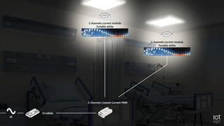 Human Centric Lighting - Light and solutions for wellbeing. Dynamic ...