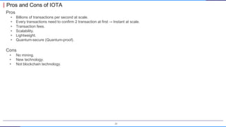 Iota - Structure and Validation Method | PDF