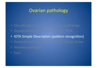 IOTA_ Simple_Rules_-_Susanne_Johnson.pdf