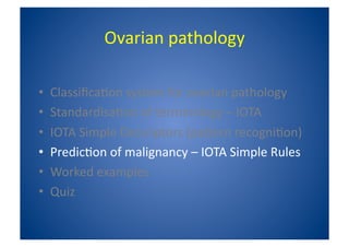 IOTA_ Simple_Rules_-_Susanne_Johnson.pdf