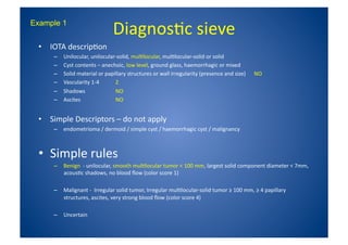 IOTA_ Simple_Rules_-_Susanne_Johnson.pdf