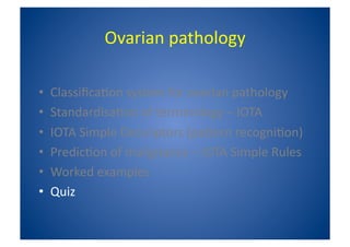 IOTA_ Simple_Rules_-_Susanne_Johnson.pdf