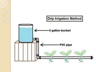 Iot Based Drip Irrigation.pptx